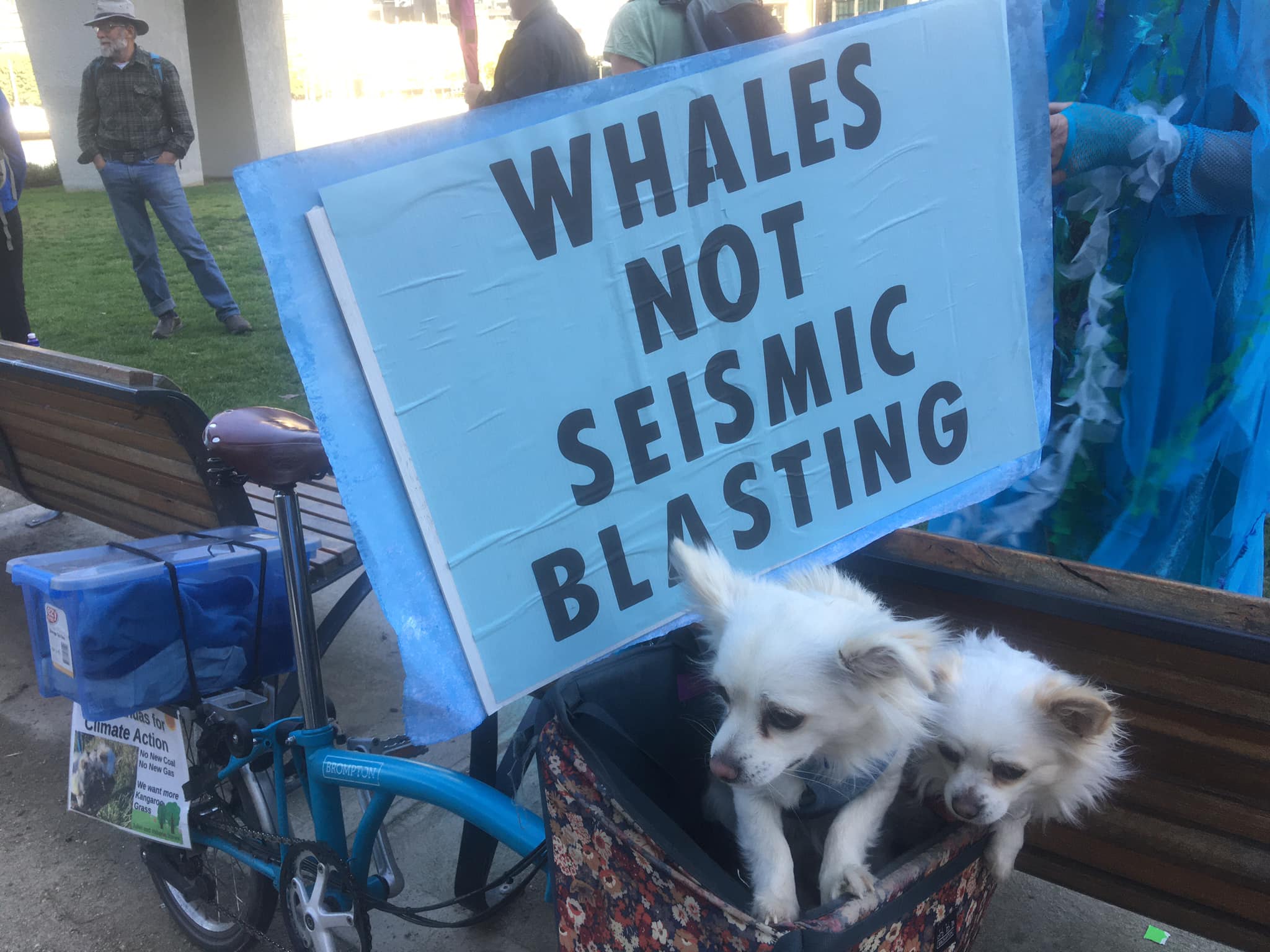 Whale Song not Seismic blasting Melbourne rally against offshore oil ...