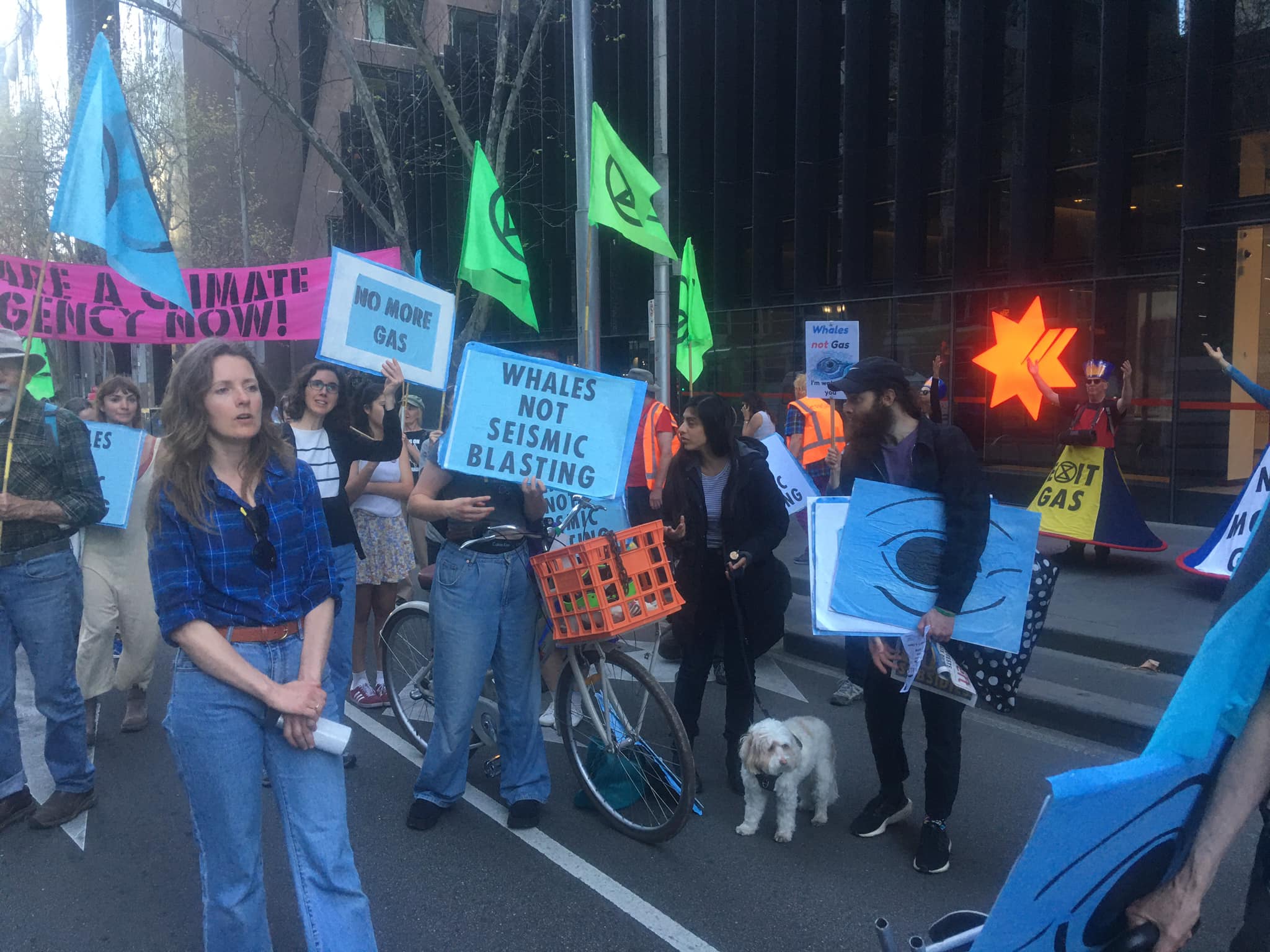 Whale Song not Seismic blasting Melbourne rally against offshore oil ...