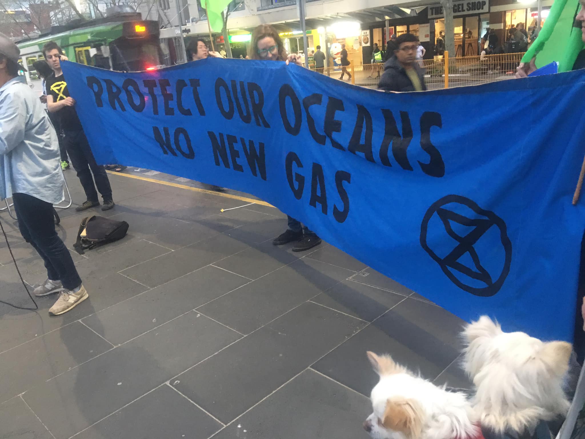 Whale Song not Seismic blasting Melbourne rally against offshore oil ...