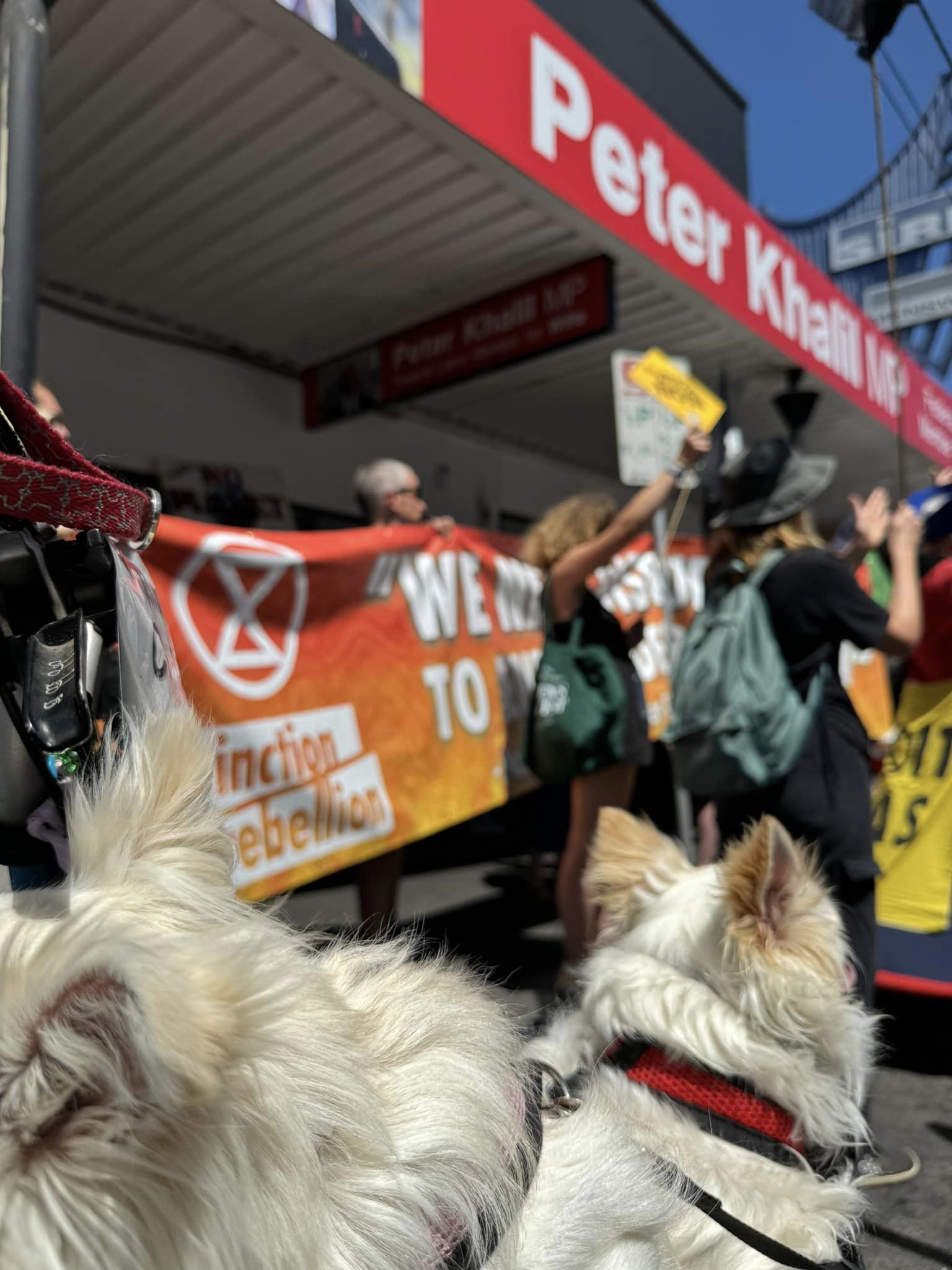 Protestors target Peter Khalil MP on Labor expanding fossil fuels when ...