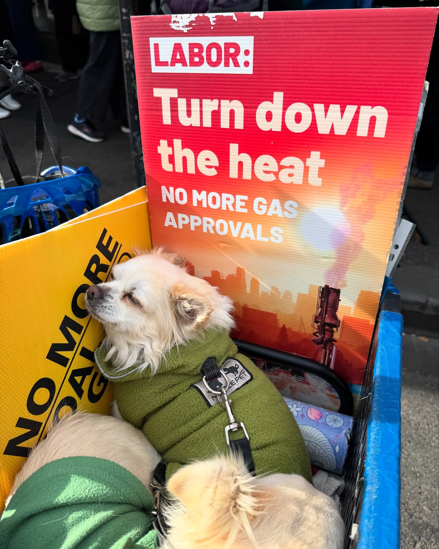 Heat on Peter Khalil over North West Shelf Gas approval climate bomb ...