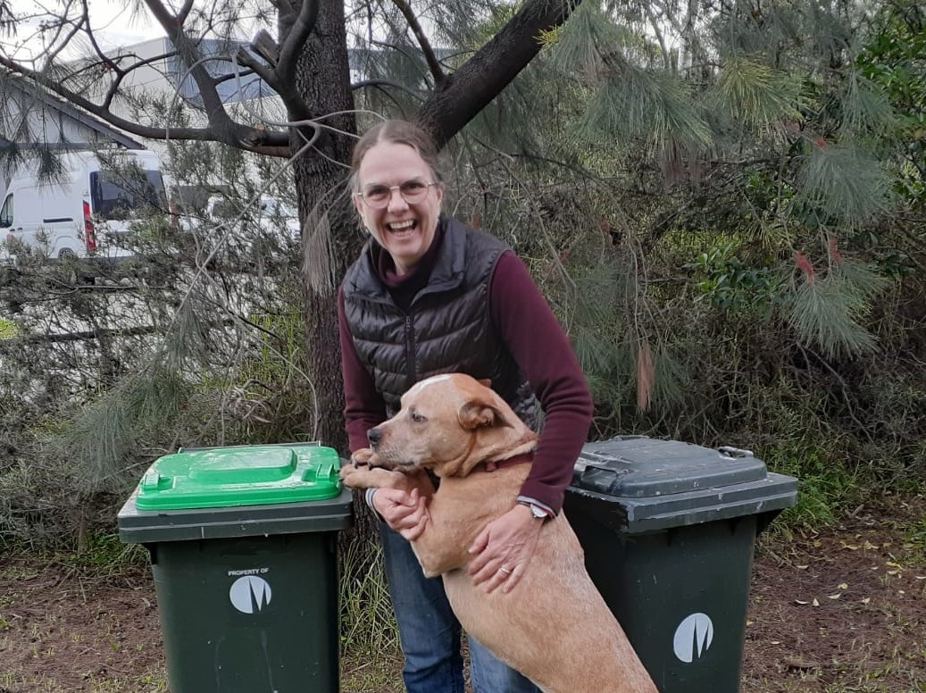 Merri-bek must slash waste to landfill – here’s how – Climate Action ...